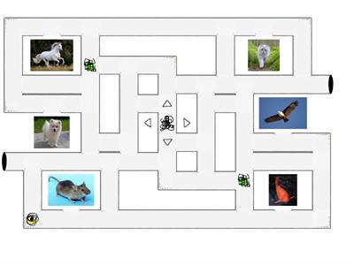 Pets - Teaching resources