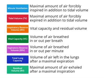 Lung diagrams - Teaching resources