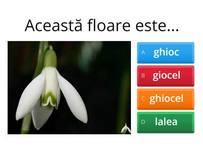 Comunicare nonverbala - Resurse didactice