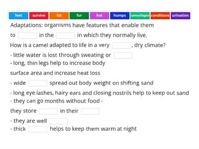 Adaptation - Teaching resources