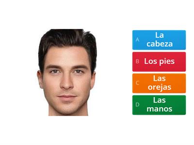 Partes del cuerpo - Teaching resources