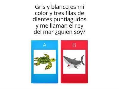 Adivinanzas del mar - Recursos didácticos