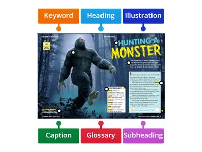 Expository text feature - Teaching resources