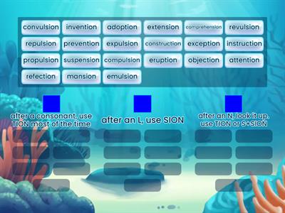 Tion sion - Teaching resources