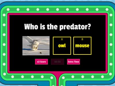 Predator prey - Teaching resources