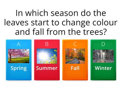 Seasons kids - Teaching resources