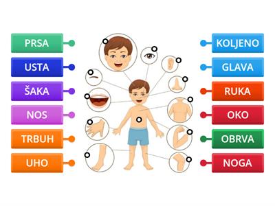 Moje tijelo 2 razred - Nastavne aktivnosti
