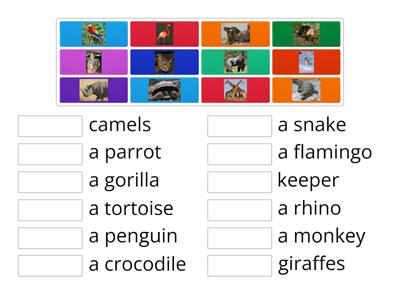 Animals Zoo - Recursos didácticos