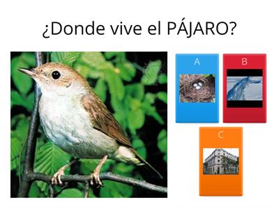 Donde viven animales - Recursos didácticos