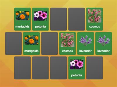 Snap - Teaching resources