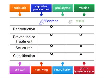Bacteria - Teaching resources