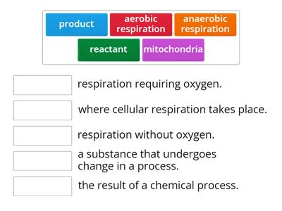 Cellular respiration games - Teaching resources