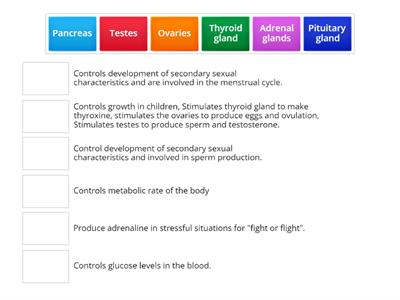 Endocrine system - Teaching resources