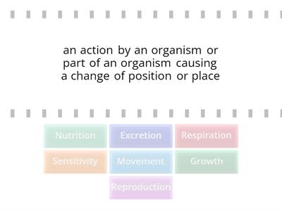 Mrs gren - Teaching resources