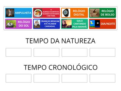 Tempo histórico da natureza e cronológico - Recursos de ensino