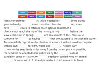Competition plants - Teaching resources