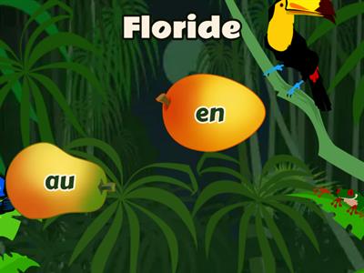 Prépositions pays - Teaching resources