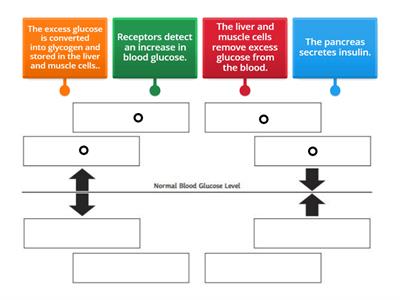 Controlling blood glucose - Teaching resources