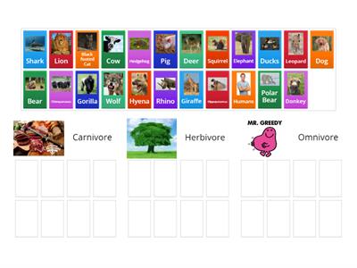 Herbivore carnivore omnivore - Teaching resources