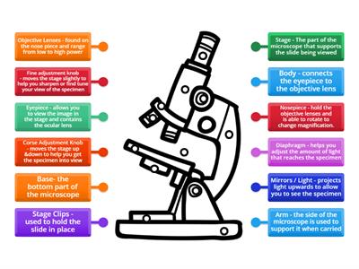 Microscope - Teaching resources
