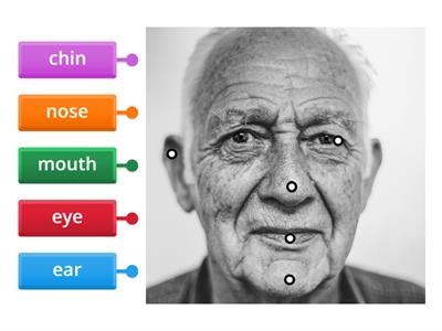 Face - Teaching resources