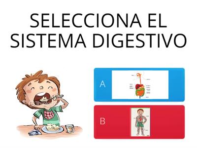 Juego Del sistema digestivo - Recursos didácticos