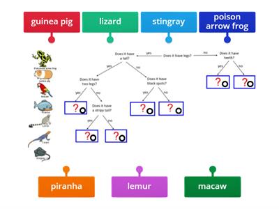 Branching diagram - Teaching resources