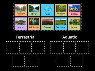 Ecosystem grade 3 - Teaching resources