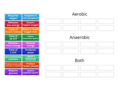 Aerobic and anaerobic respiration - Teaching resources