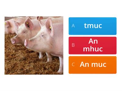 Irish - Teaching resources