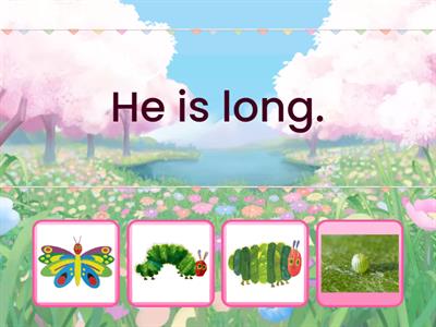 The very hungry caterpillar - Teaching resources