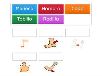 Articulación - Recursos didácticos