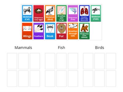 Mammals reptiles amphibians fish birds - Recursos didácticos