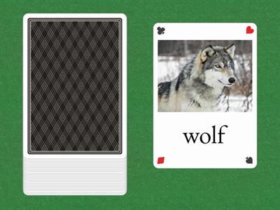 Animals - Teaching resources