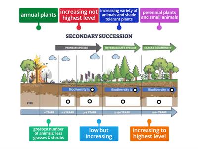 Primary and secondary succession - Teaching resources