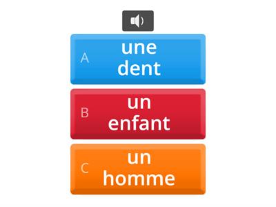 Français Pluriel des noms - Ressources pédagogiques