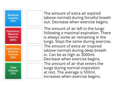 Lung diagrams - Teaching resources