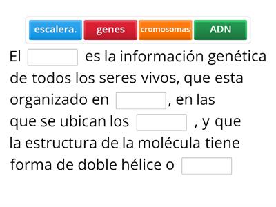 Cromosomas - Recursos didácticos