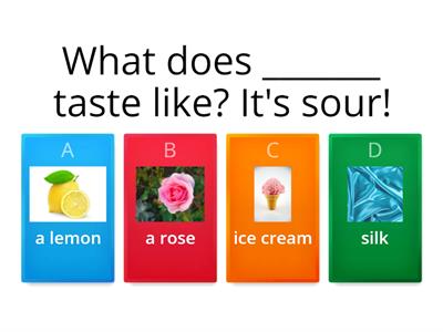 Smell taste look sound feel - Учебные ресурсы