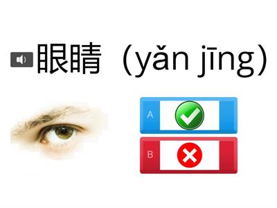 Yct 2 - Teaching resources