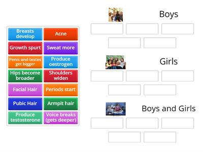 Puberty changes 1000 - Teaching resources