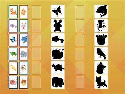 Shadow - Teaching resources