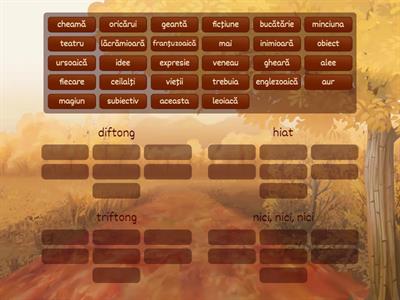 Hiat diftong triftong - Resurse didactice