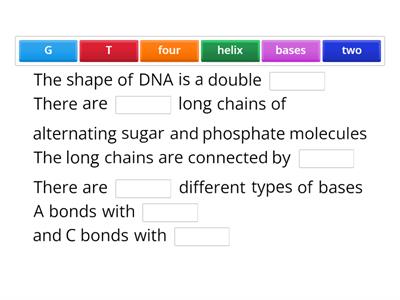 Dna - Teaching resources