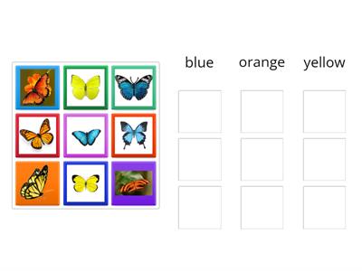 Butterfly cycle - Recursos de ensino
