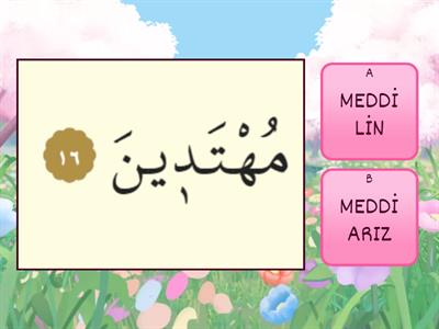 Meddi lin arız - Öğretim kaynakları