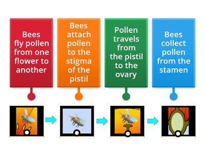Pollination - Teaching resources