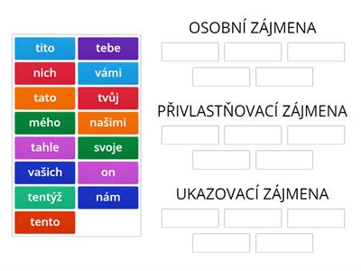 Angličtina přivlastňovací zájmena - Výukové zdroje