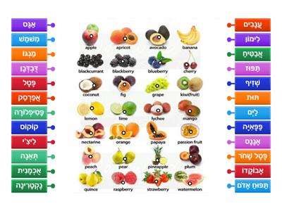 Fruits - Teaching resources