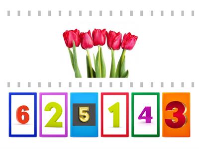 Numbers - Teaching resources